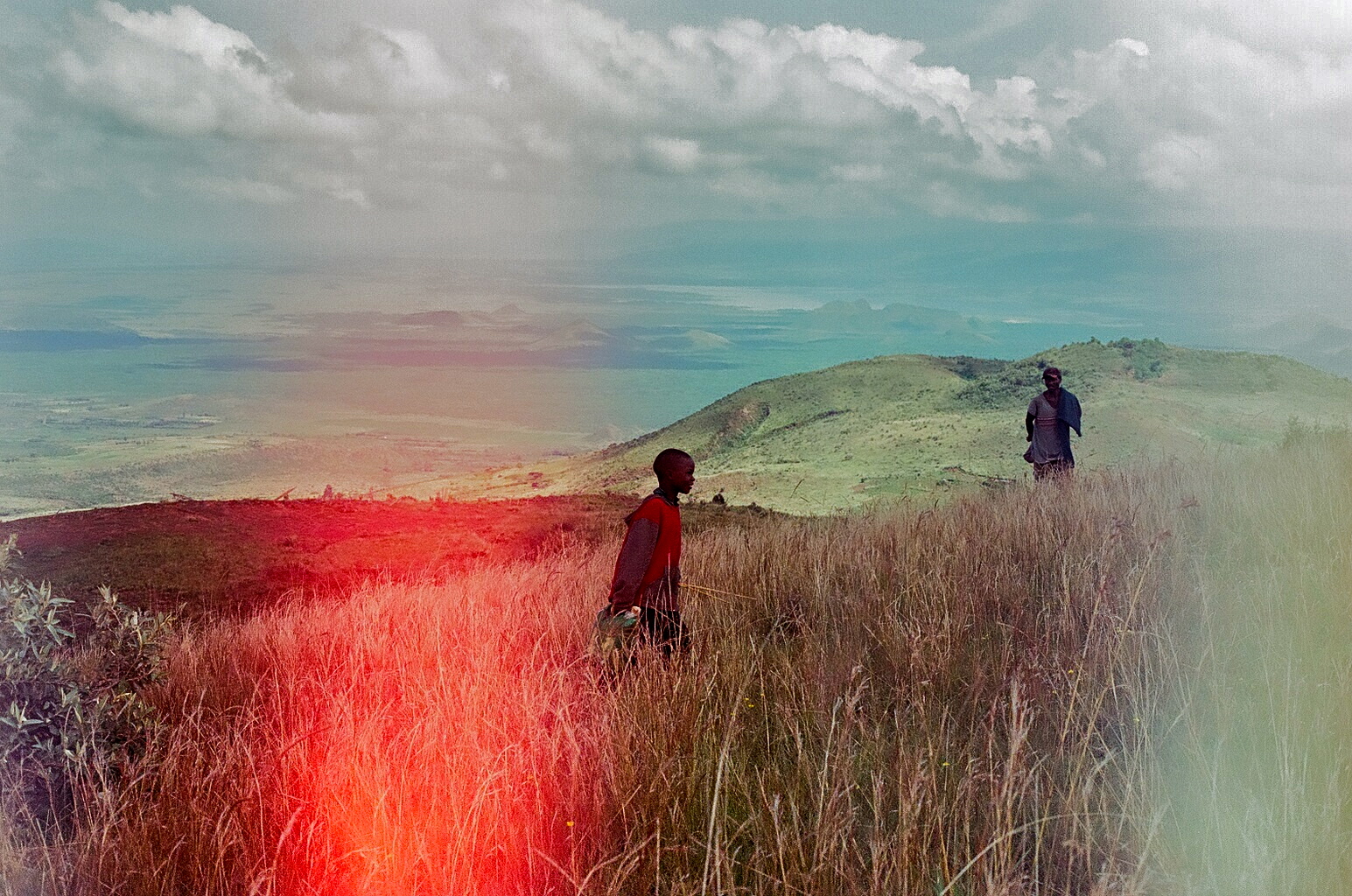 Bertalan-25040003.jpg | UNC CGI